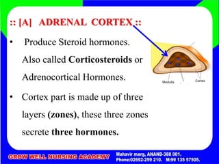 Adrenal glands | PPT
