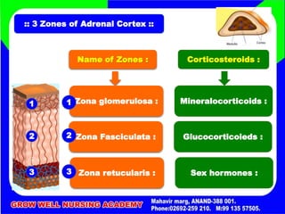 Adrenal glands | PPT