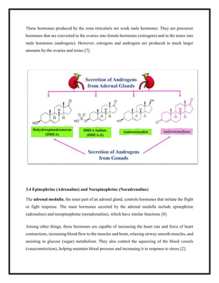 adrenal glands anatomy and physiology and funnction | DOCX