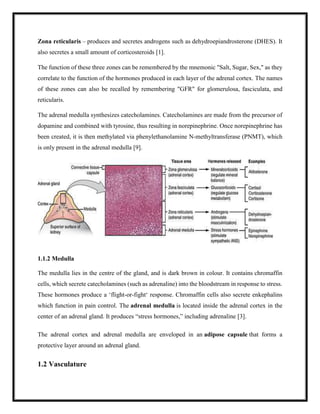 adrenal glands anatomy and physiology and funnction | DOCX | Endocrine ...