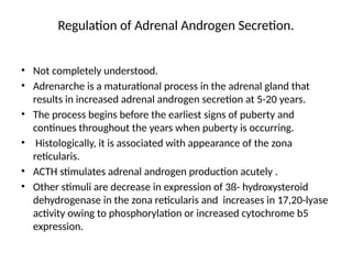 Adrenal Glands anatomy power point presentation | PPTX
