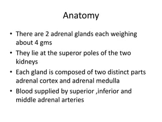 A small gland that makes steroid hormones, adrenaline, and ...