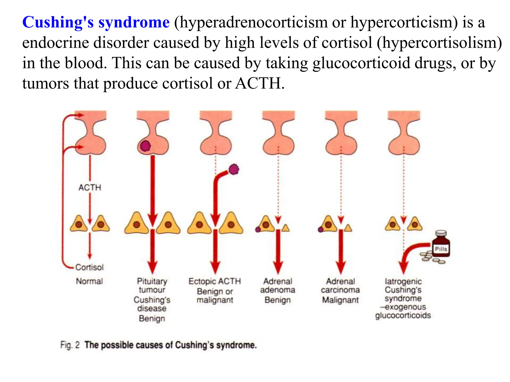 Adrenal glands & hormones.ppt