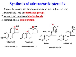 Adrenal glands & hormones.ppt