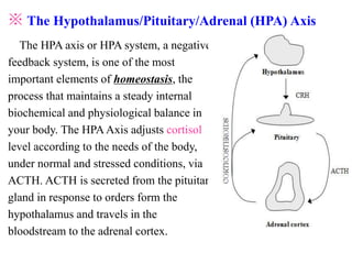 Adrenal glands & hormones.ppt