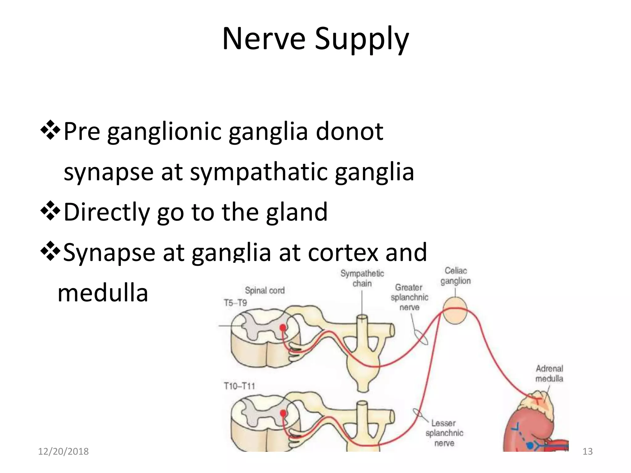 Adrenal gland Anatomy and histology | PPTX