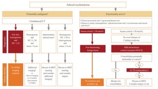 Adrenal incidentaloma approach and management | PPTX