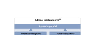 Adrenal incidentaloma approach and management | PPTX