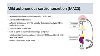 Overview of adrenal incidentaloma PPT- PPTX | PPTX
