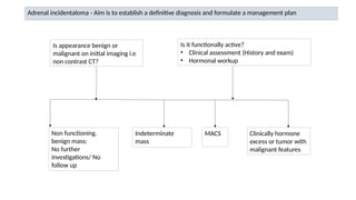 Overview of adrenal incidentaloma PPT- PPTX | PPTX