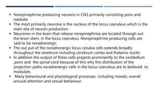 Adrenaline and noradrenaline | PPTX