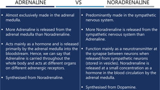 Adrenaline and noradrenaline | PPTX