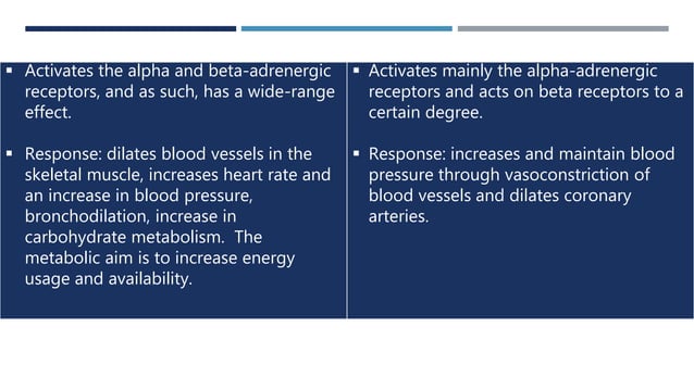 Adrenaline and noradrenaline | PPTX | Endocrine and Metabolic Diseases ...