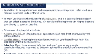 Adrenaline and noradrenaline | PPTX