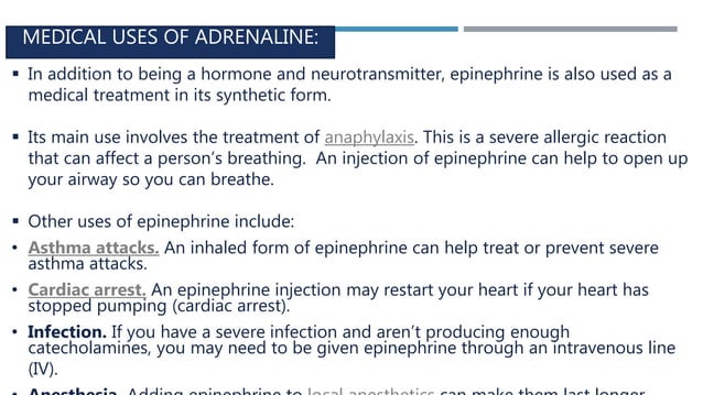 Adrenaline and noradrenaline | PPTX | Endocrine and Metabolic Diseases | Diseases and Conditions