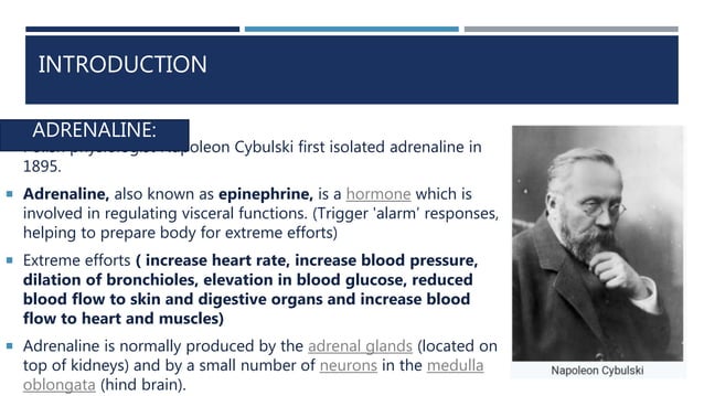 Adrenaline and noradrenaline | PPTX | Endocrine and Metabolic Diseases ...