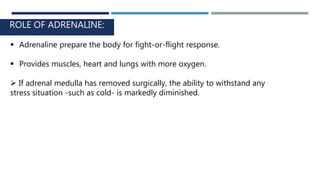 Adrenaline and noradrenaline | PPTX