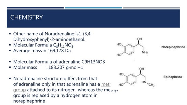 Adrenaline and noradrenaline | PPTX | Endocrine and Metabolic Diseases ...