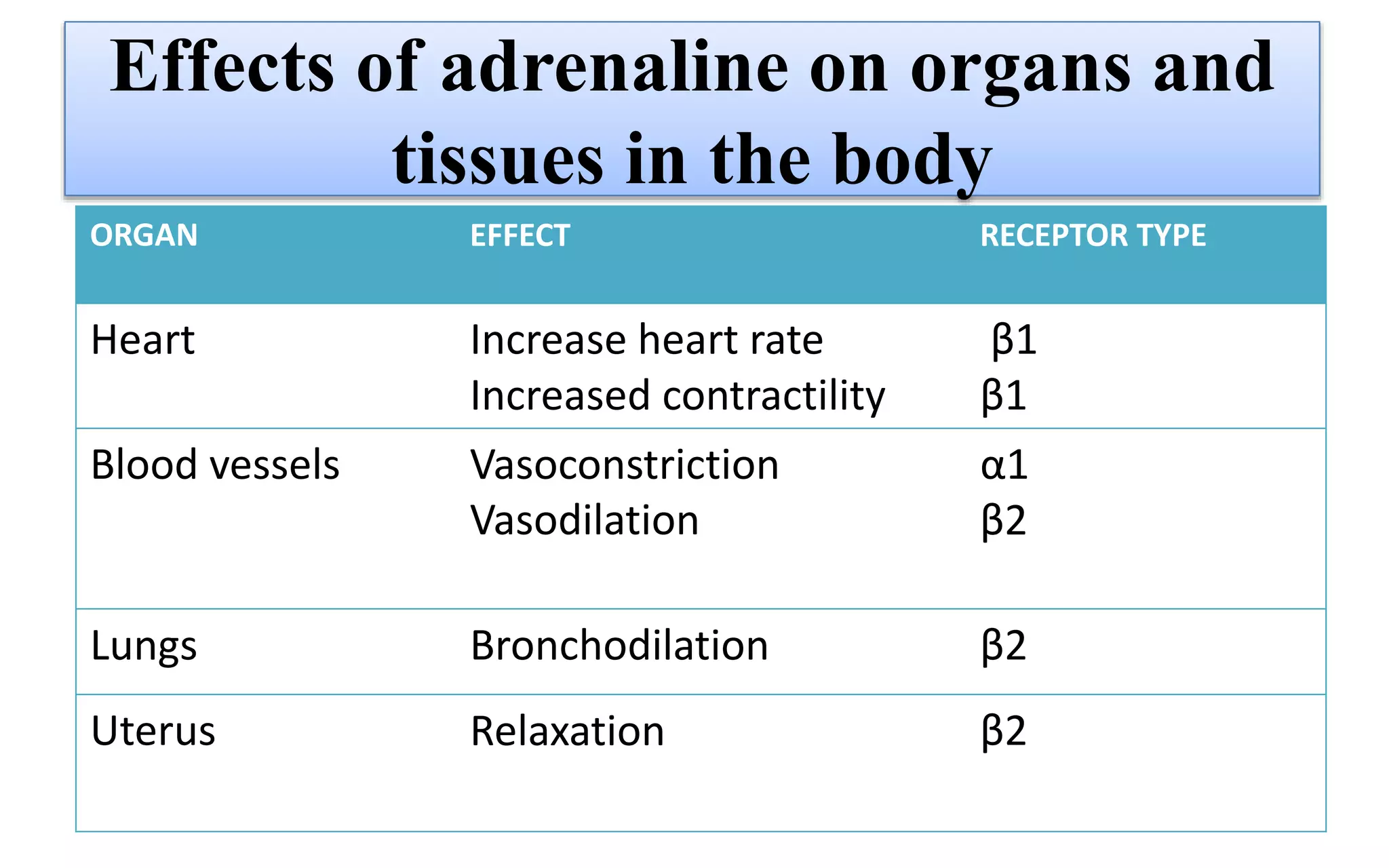 Adrenaline & Noradrenaline | PPTX