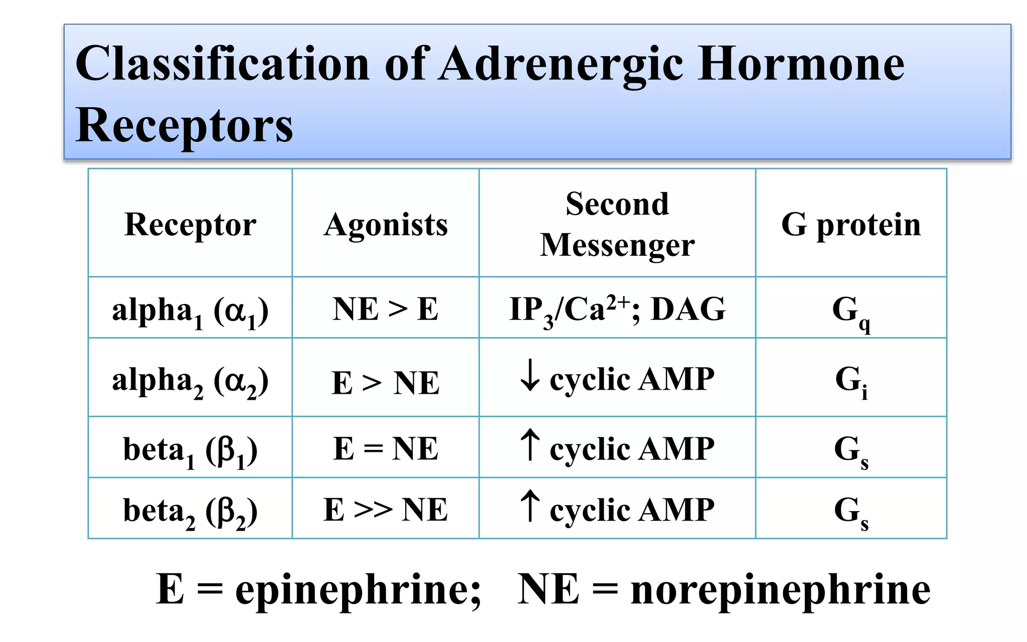 Adrenaline & Noradrenaline | PPTX