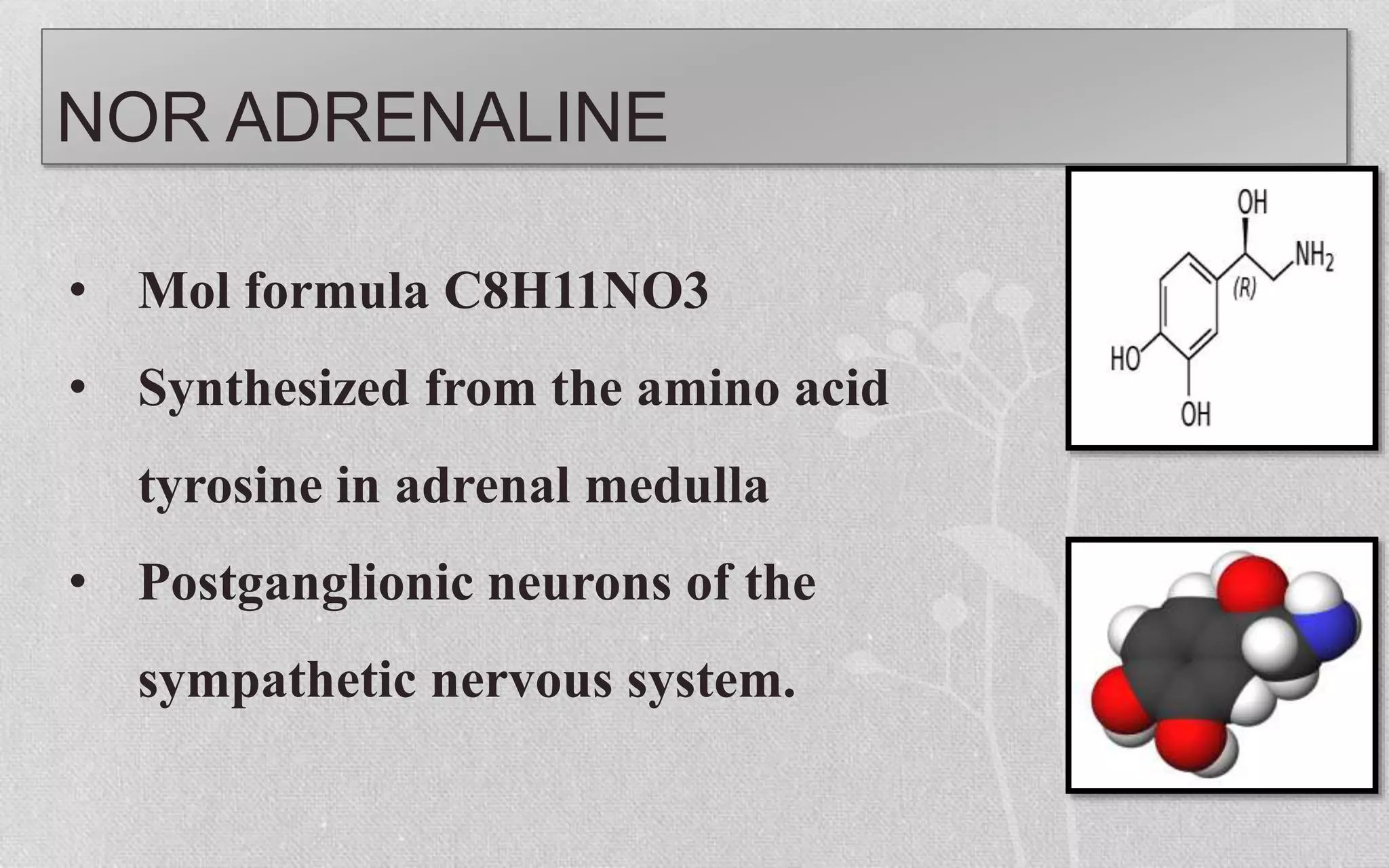 Adrenaline & Nor-adrenaline | PPTX