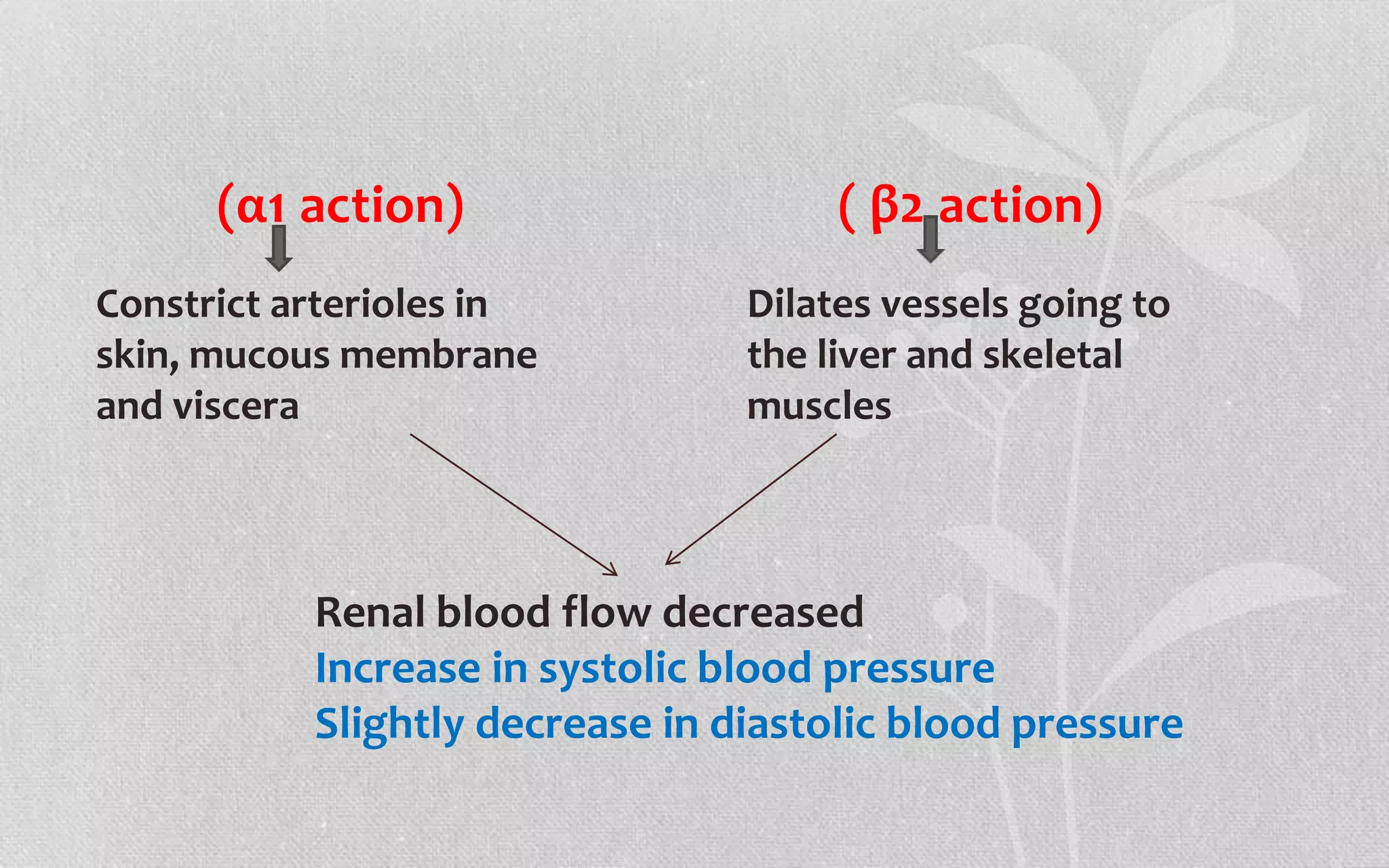 Adrenaline & Nor-adrenaline | PPTX