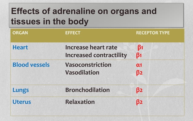Adrenaline & Nor-adrenaline | PPTX