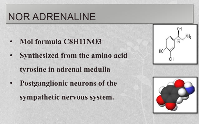 Adrenaline & Nor-adrenaline | PPTX