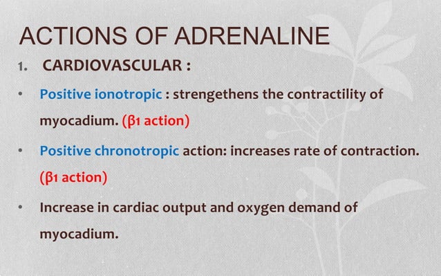 Adrenaline & Nor-adrenaline | PPTX