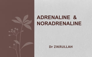 Dr ZIKRULLAH ADRENALINE & NORADRENALINE | PPT