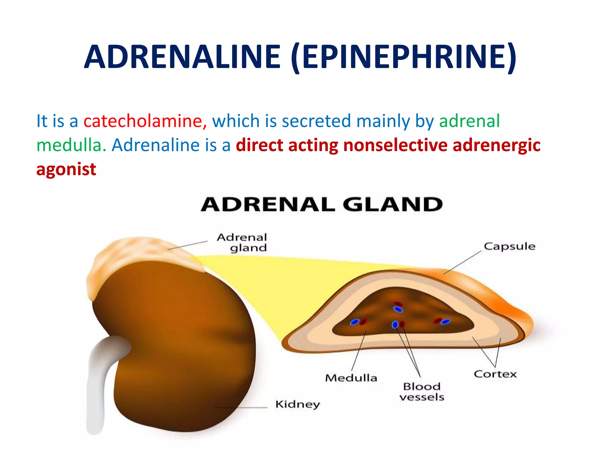 Adrenaline pharmacology | PPTX