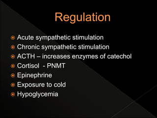 Adrenal medulla | PPTX