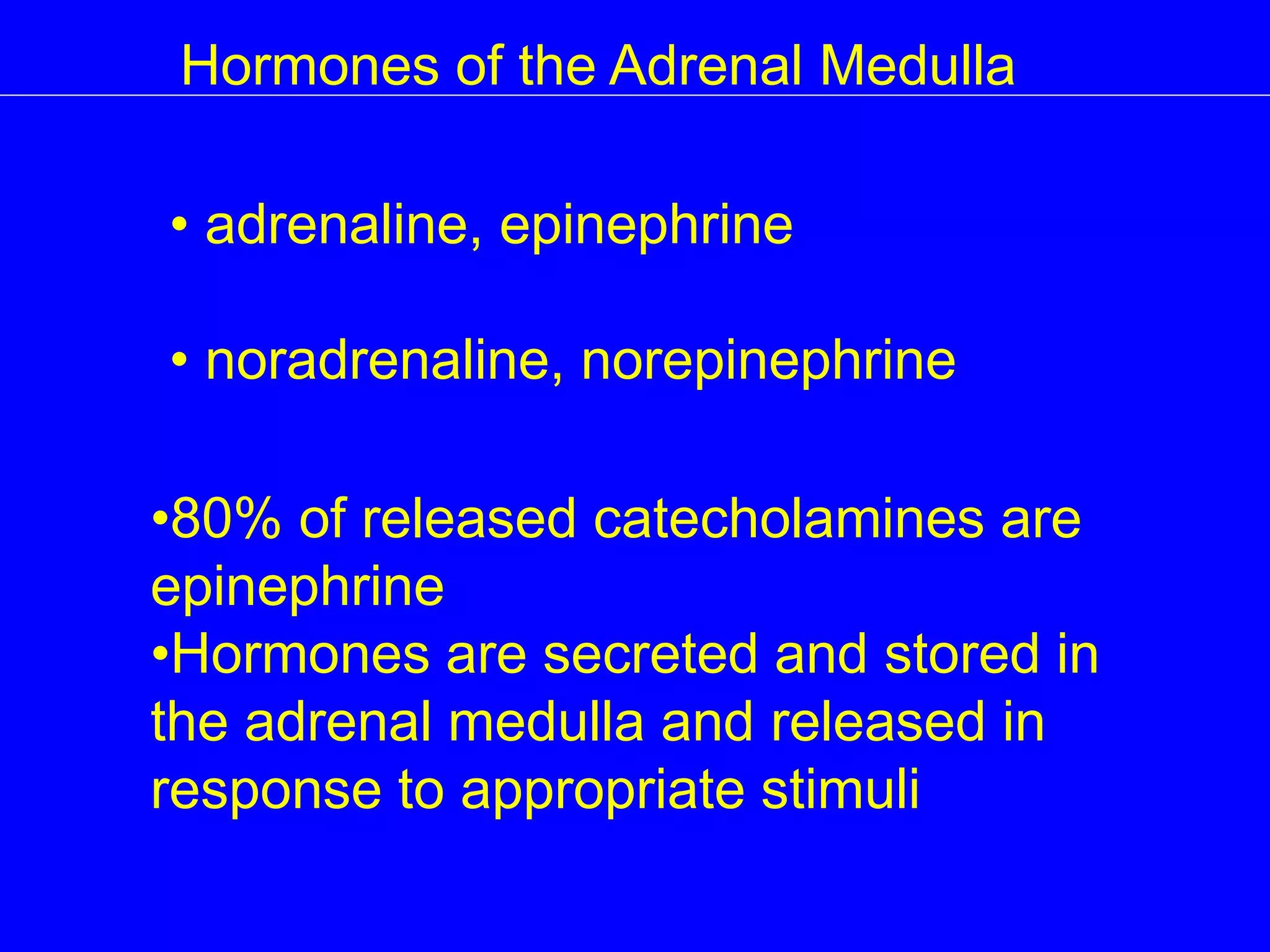 Adrenal medulla | PPTX