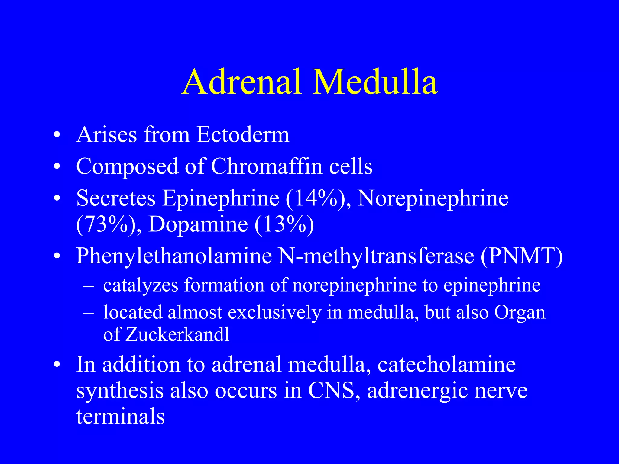 Adrenal medulla | PPTX