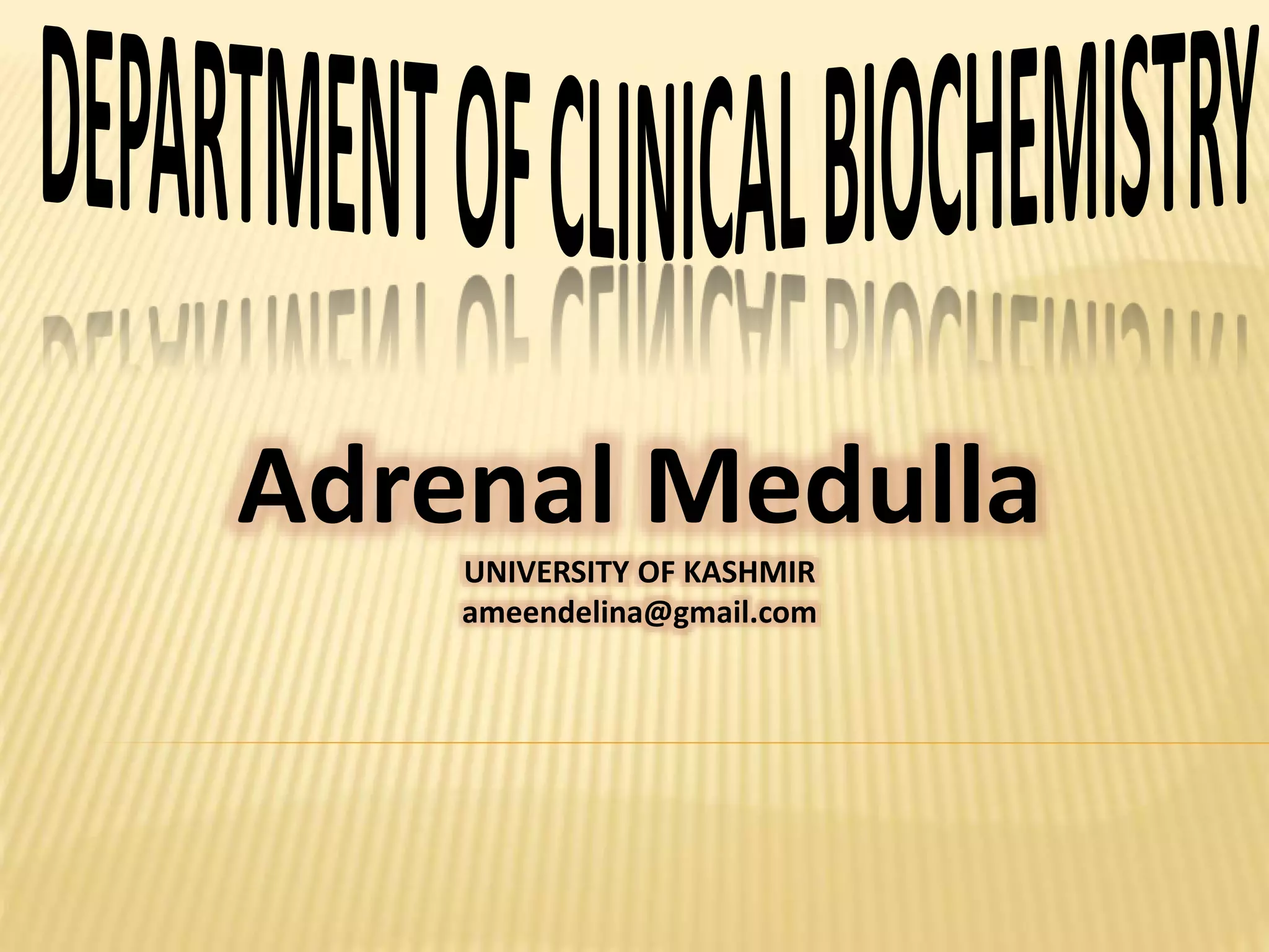 Adrenal medulla | PPT