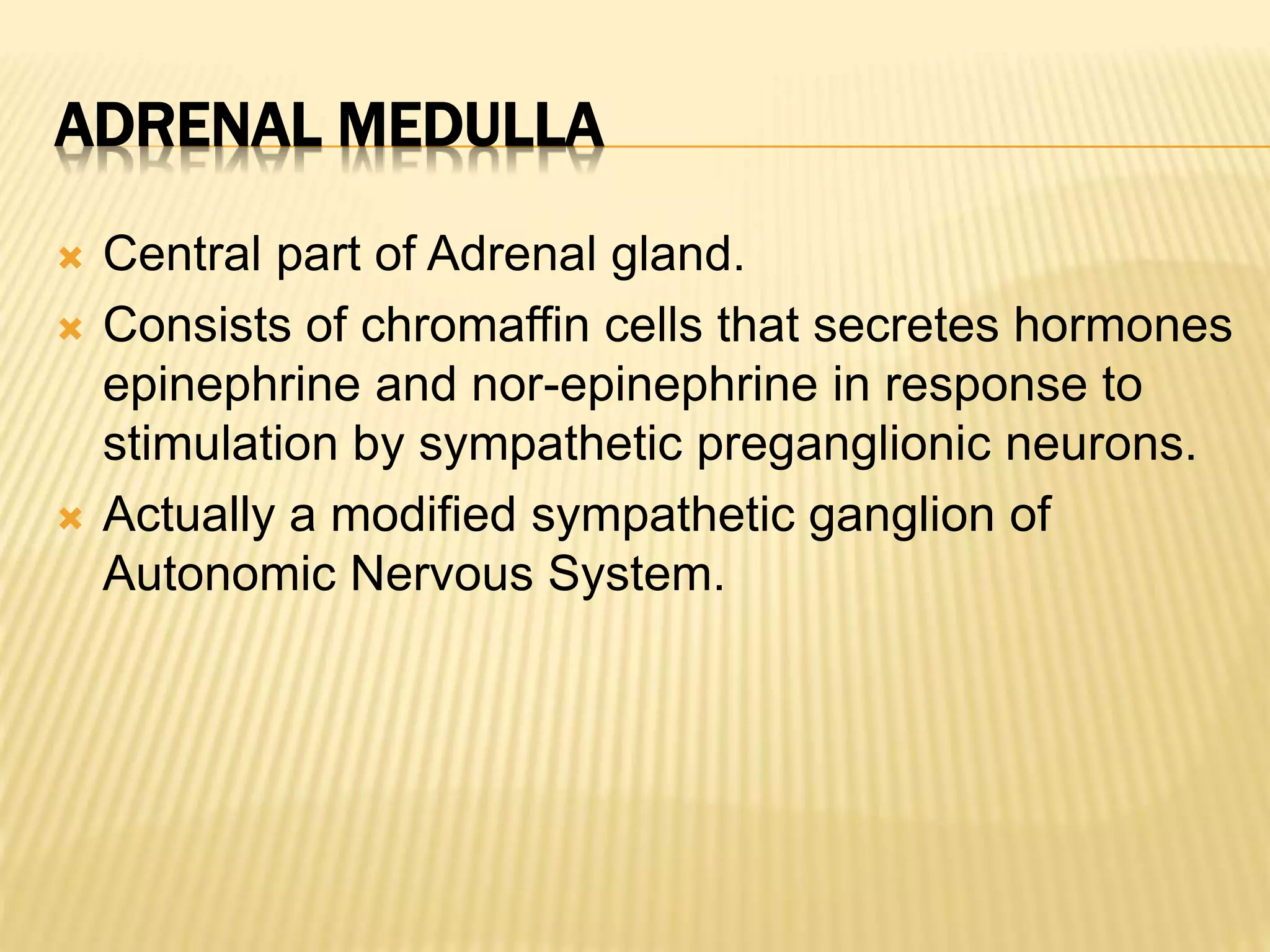 Adrenal medulla | PPT