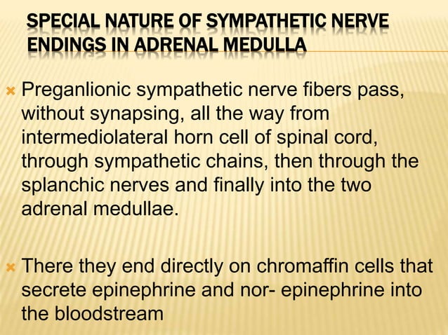 Adrenal medulla | PPT