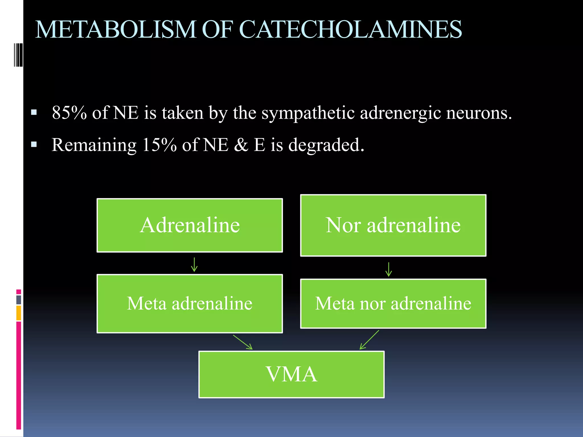 Adrenal medulla | PPTX