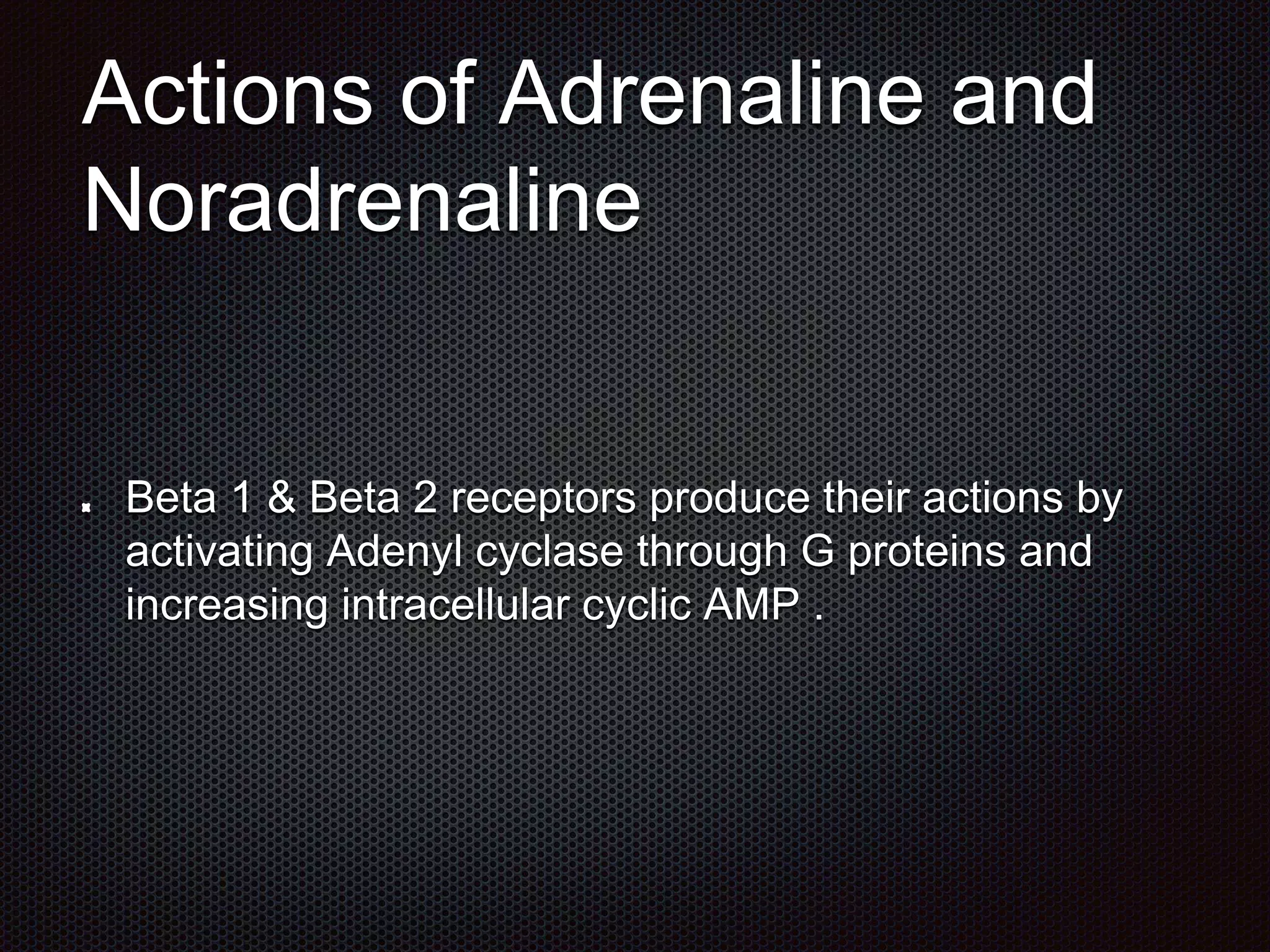 Adrenal medulla | PPTX