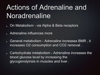 Adrenal medulla | PPTX