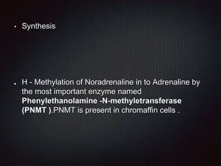 Adrenal medulla | PPTX