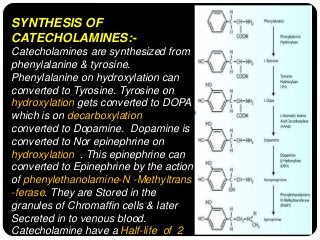 Adrenal Medulla .pptx