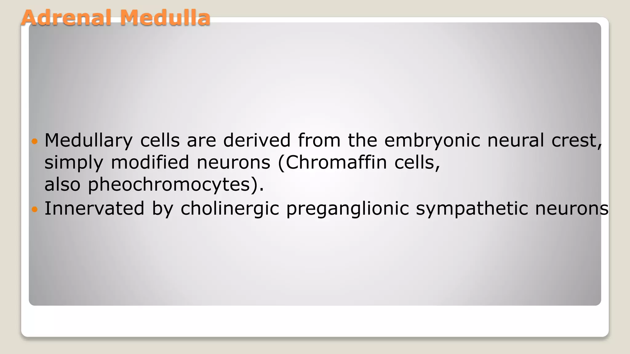 Adrenal medulla.pptx