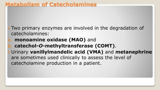 Adrenal medulla.pptx