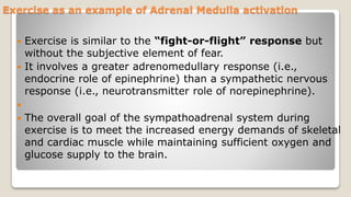 Adrenal medulla.pptx