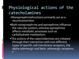 Adrenal medulla 1 | PPT