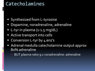 Adrenal medulla 1 | PPT