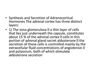 adrenalPresentation2.pptx