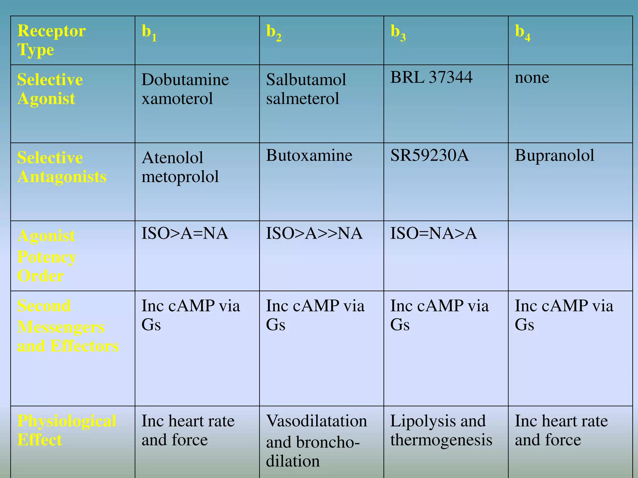 Adrenal receptors antagonist | PPT