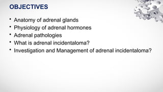 Adrenal incidentaloma , basics and management | PPTX